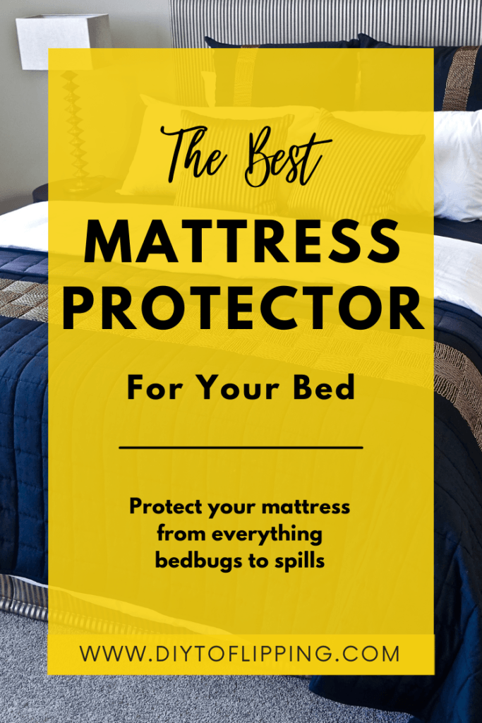 What Is The Best Mattress Protector For Bed Bugs 2024